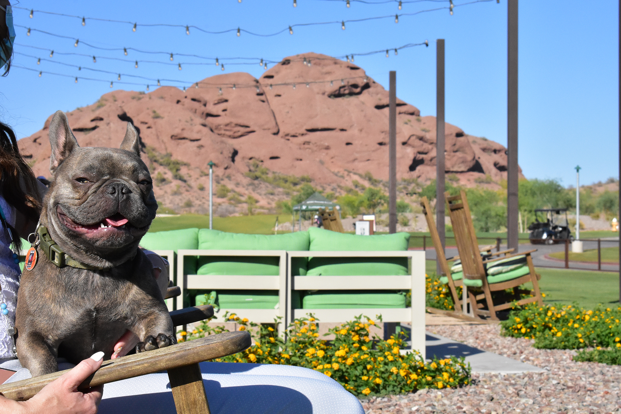 Home - Lou's Bar & Grill